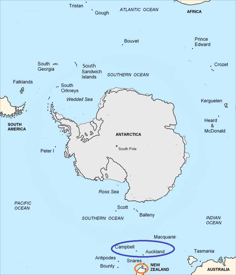 Penguins of the World - Birdtripper