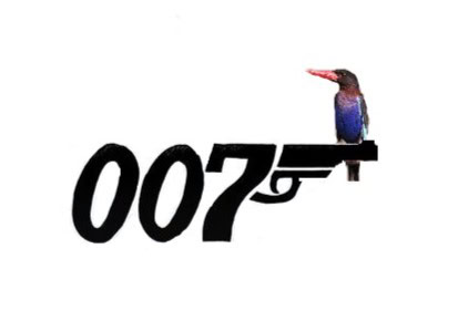 James Bond and the Birds - Birdtripper